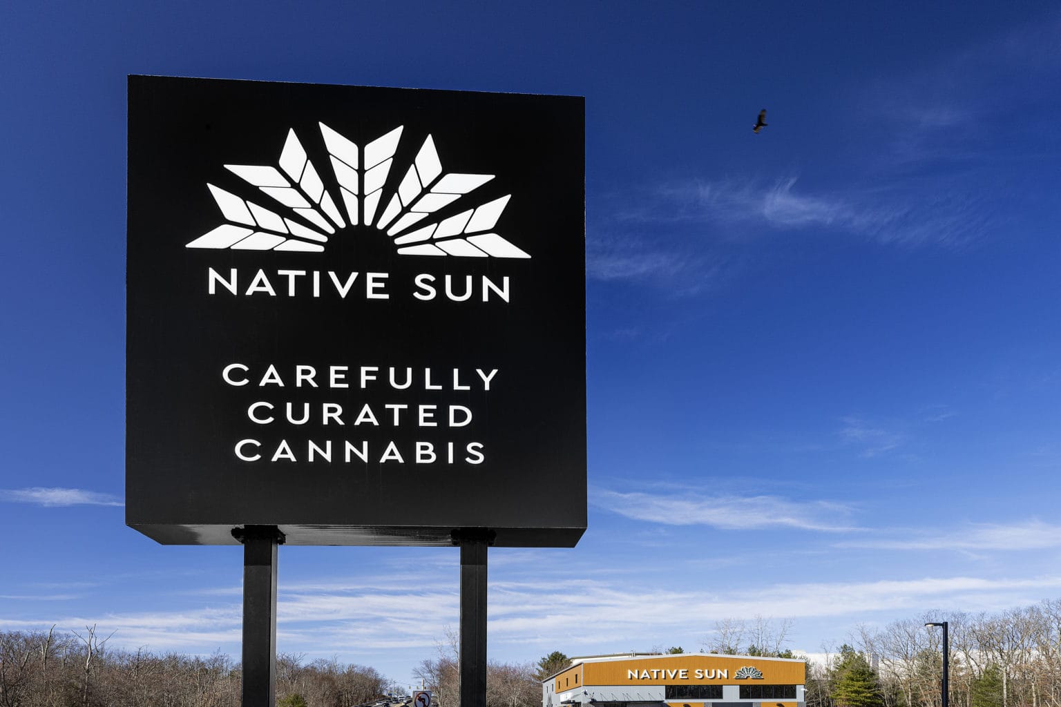 Native Sun Wellness Cannabis Dispensary in South Boston, Hudson & North ...